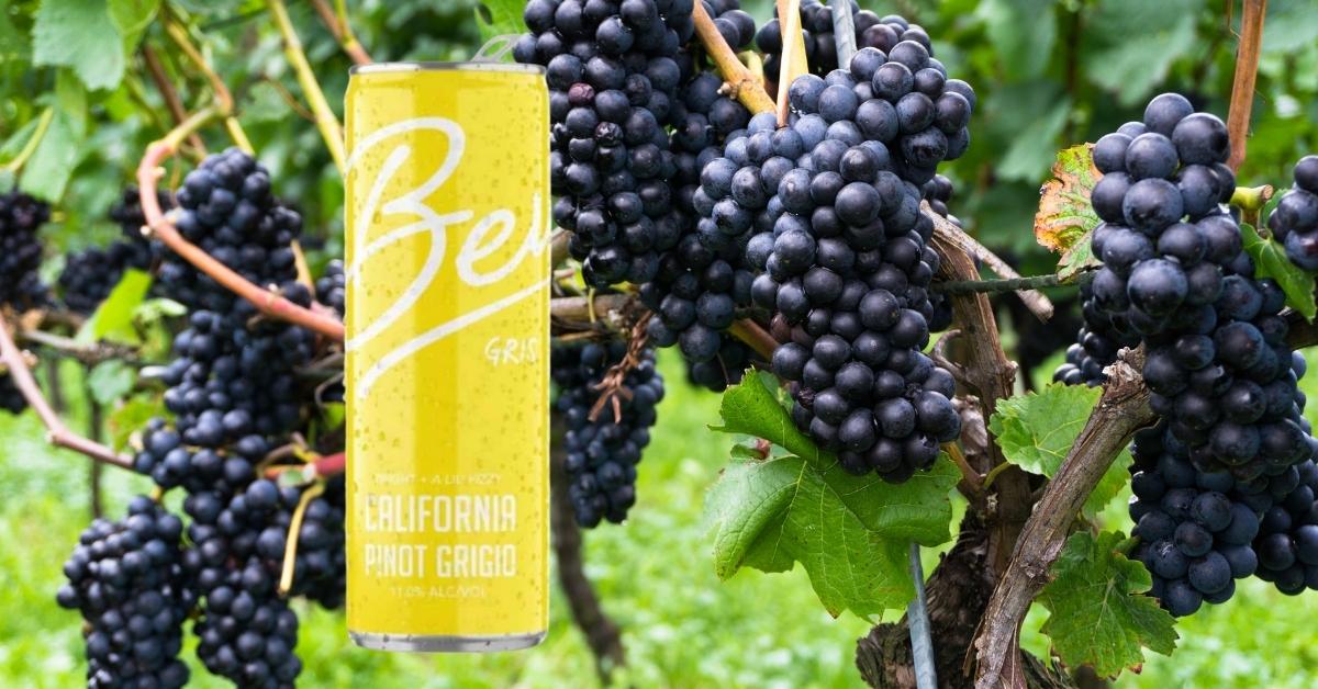 BEV Wine Spritz Review: Gris